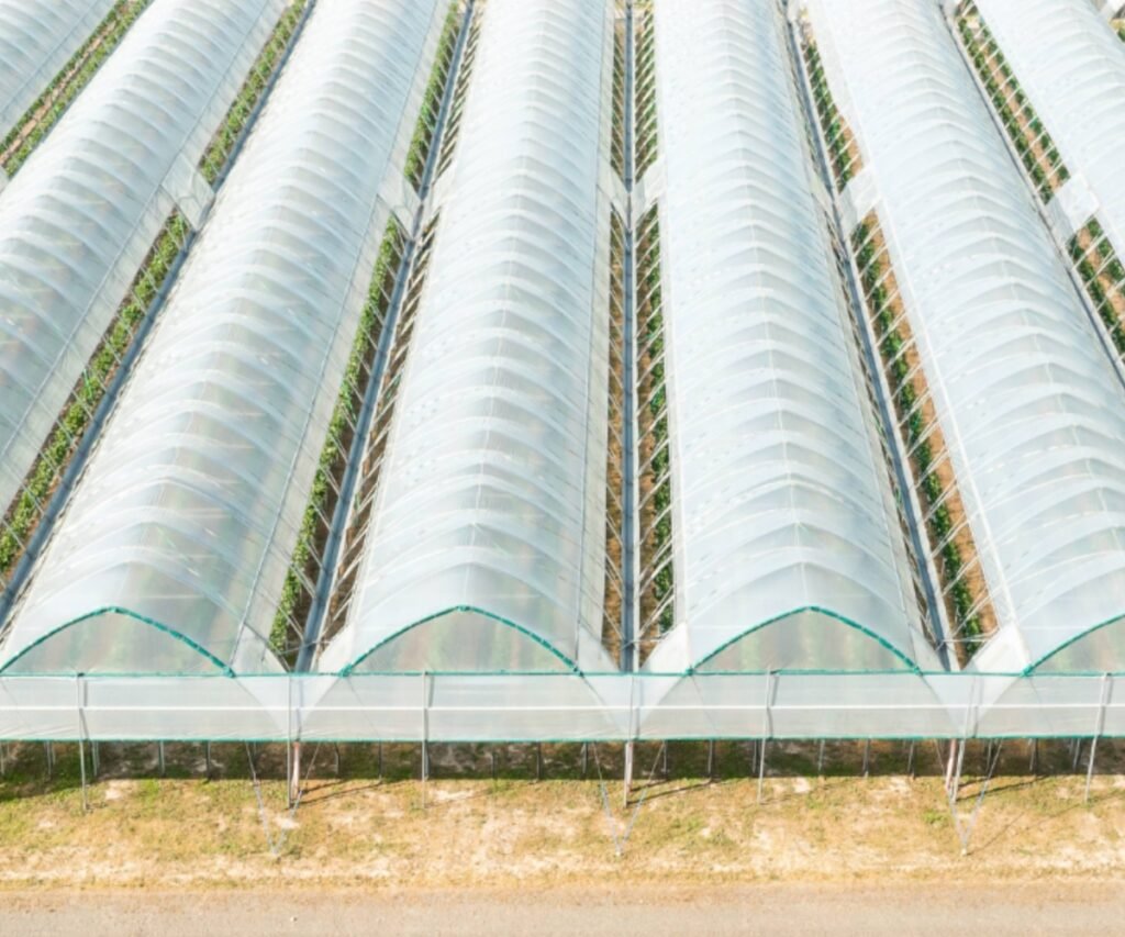 Polyhouse Structures